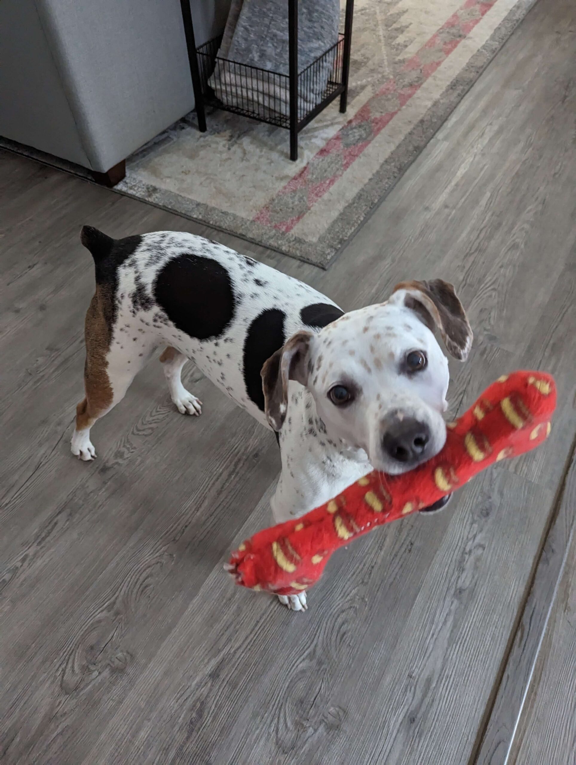 Sam Reinhardt | Bytes.co