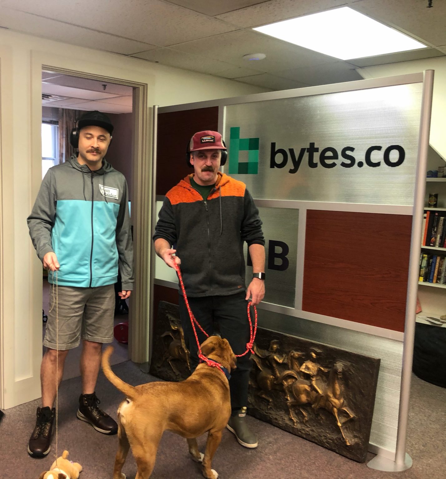 Vermont Web Design Company & Digital Marketing Agency | Bytes.co